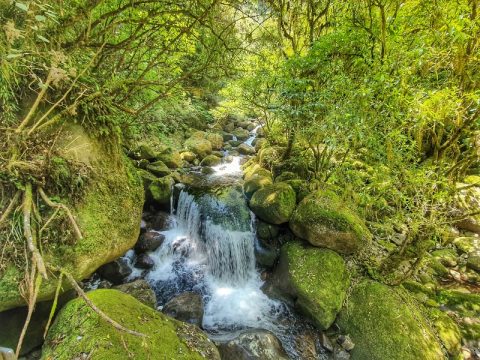 ABOUT THE AMAZING WAIRERE FALLS WALK (MATAMATA)