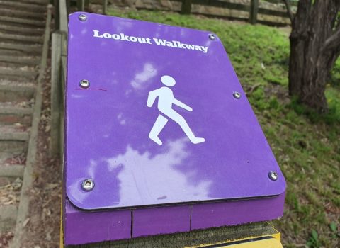 MOUNT VICTORIA LOOKOUT WALKWAY GUIDE | CHUR NEW ZEALAND