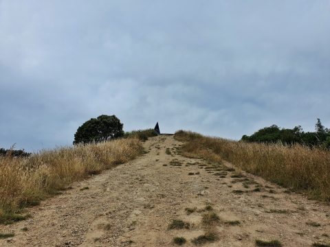 MOUNT VICTORIA LOOKOUT WALKWAY GUIDE | CHUR NEW ZEALAND