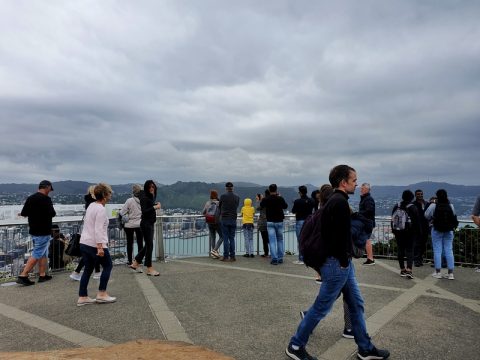 MOUNT VICTORIA LOOKOUT WALKWAY GUIDE | CHUR NEW ZEALAND