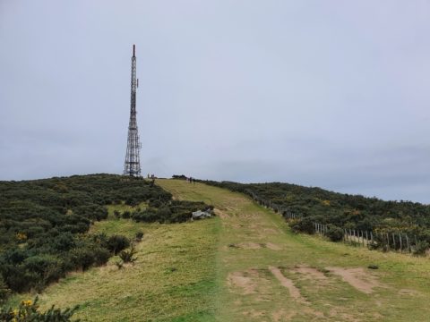 THE MT KAUKAU WALK: DETAILS ARE HERE | CHUR NEW ZEALAND