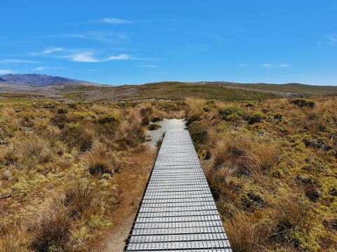 TAMA LAKES TRACK (TONGARIRO N.P.): A FUN 16KM HIKE