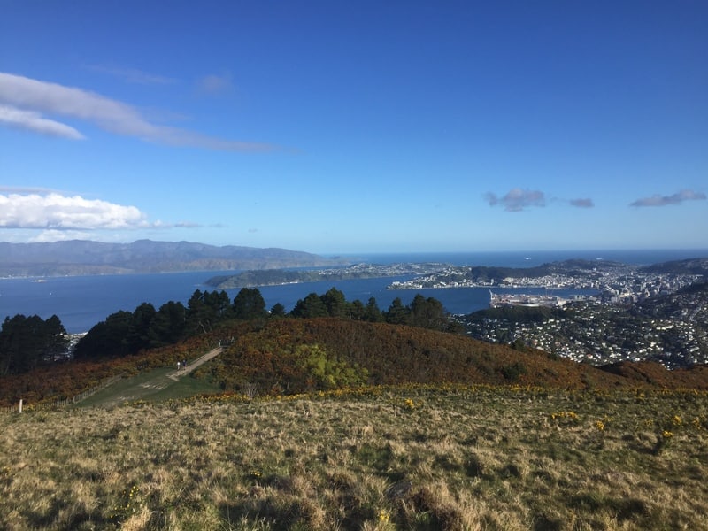 THE MT KAUKAU WALK: DETAILS ARE HERE | CHUR NEW ZEALAND