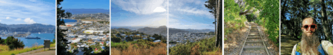 21 AWESOME WALKS IN WELLINGTON (& NEARBY) | CHUR NEW ZEALAND