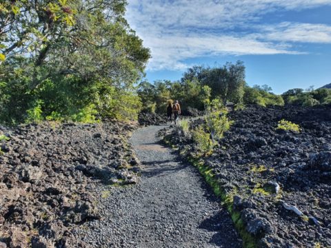THE RANGITOTO ISLAND SUMMIT WALK | CHUR NEW ZEALAND