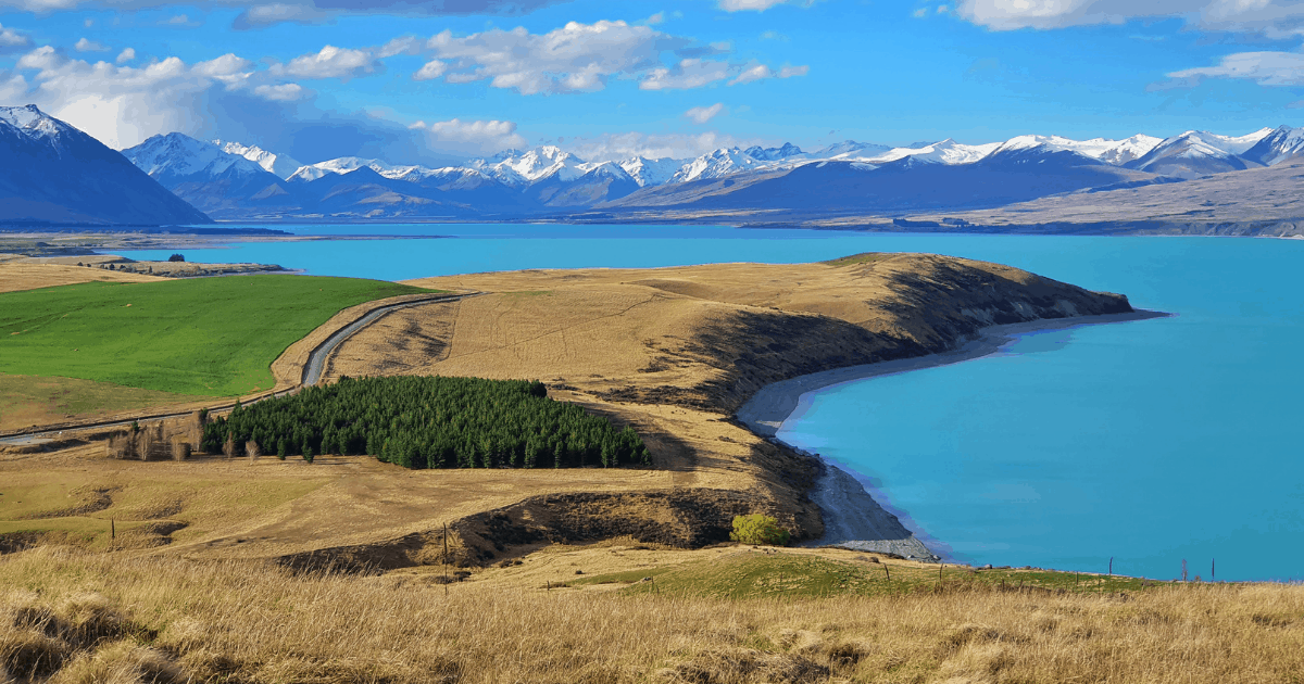 THE MOUNT JOHN WALK (LAKE TEKAPO) | CHUR NEW ZEALAND