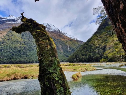 THE ROUTEBURN TRACK: AN EPIC GUIDE