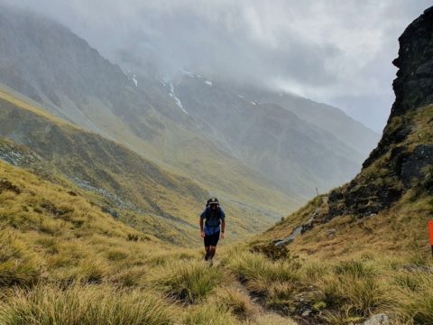 HIKING THE REES DART TRACK (HOW TO GUIDE)