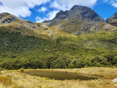 THE GREENSTONE CAPLES TRACK | AN AWESOME LOOP