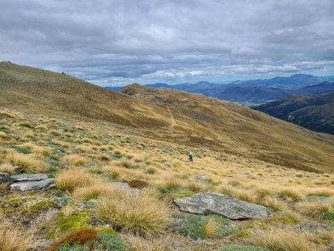 MOUNT DICK: A GREAT KINGSTON ADVENTURE