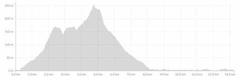 THE RANGITOTO ISLAND SUMMIT WALK | CHUR NEW ZEALAND